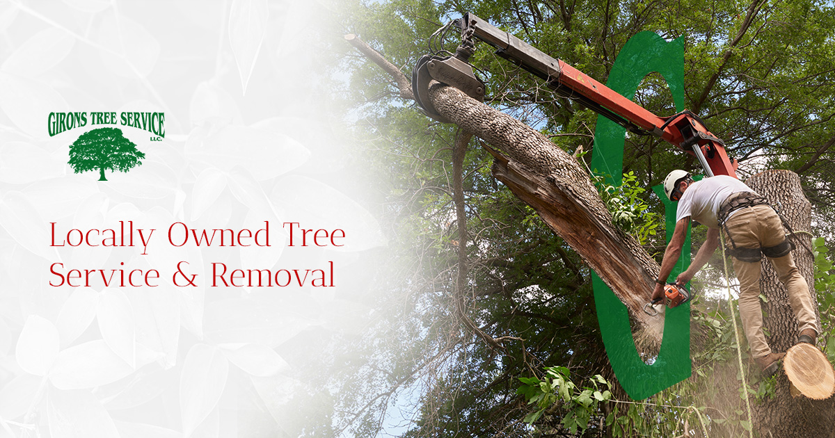 Tree Trimming in Elizabeth | Girón Tree Services LLC